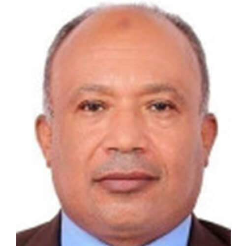 International Journal of Intelligent Systems and Informatics